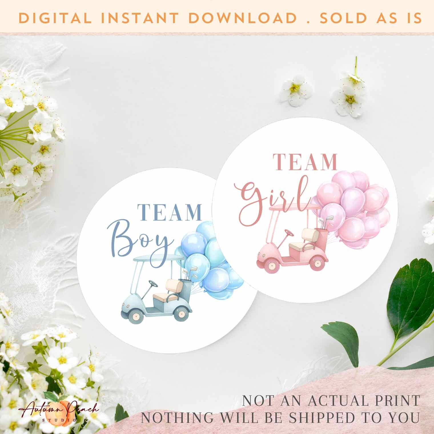 Pink Blue Boy or Girl Chart What Will Baby Be Gender Reveal Golfing ...