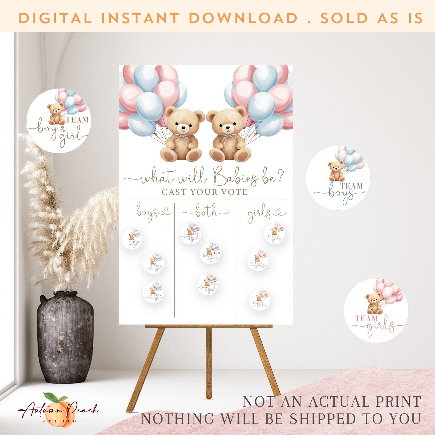 Twin Pink Blue Boy or Girl Chart What Will Baby Be Gender Reveal Teddy ...