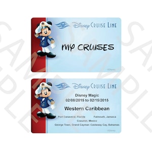 Disney Cruise Line Key to the World Concierge/silver Anniversary/dvc ...
