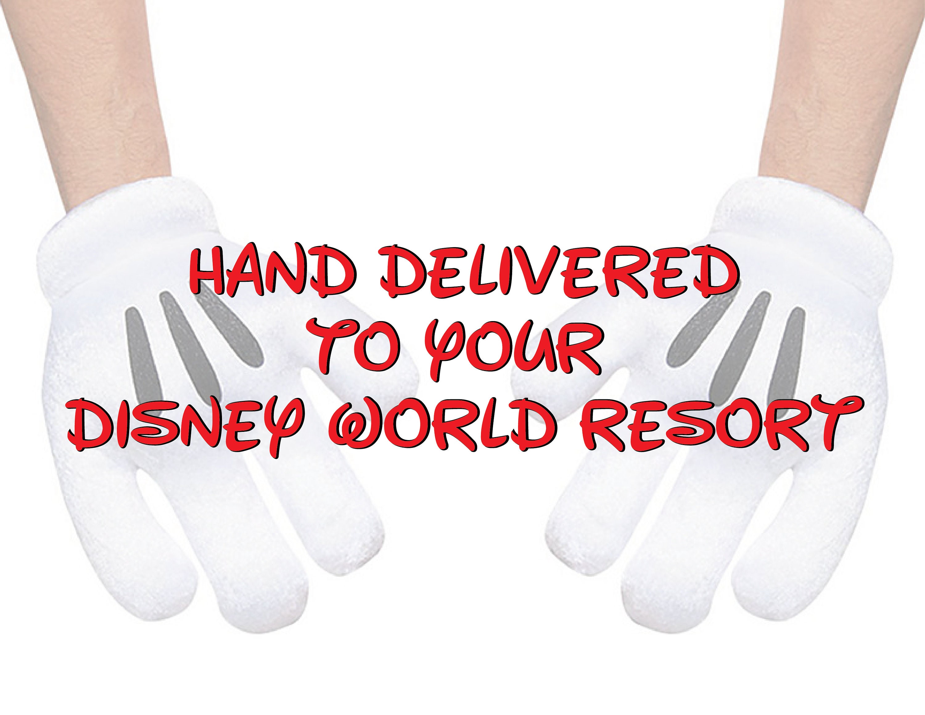 Hand Delivered to Your Walt Disney World Resort + Other Options - Etsy