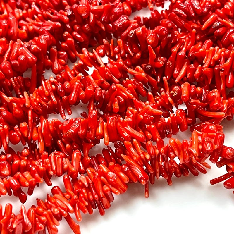 Coral Beads - Etsy