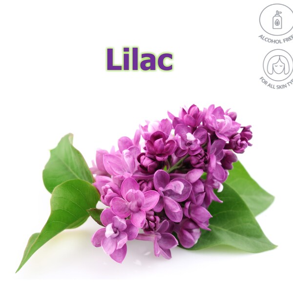 Lilac Perfume Oil - Etsy