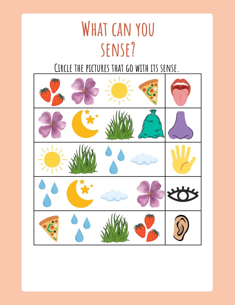 5 Senses Worksheets and Activity - Etsy