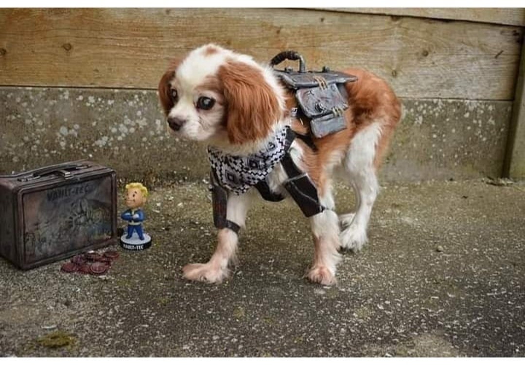 Fallout Dog Armour - EVA Foam Template - Etsy