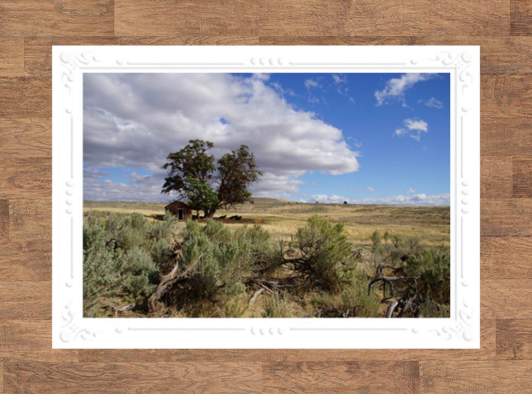 Eastern Oregon Cattle PNW Landscape Folded Blank Embossed Greeting Note ...