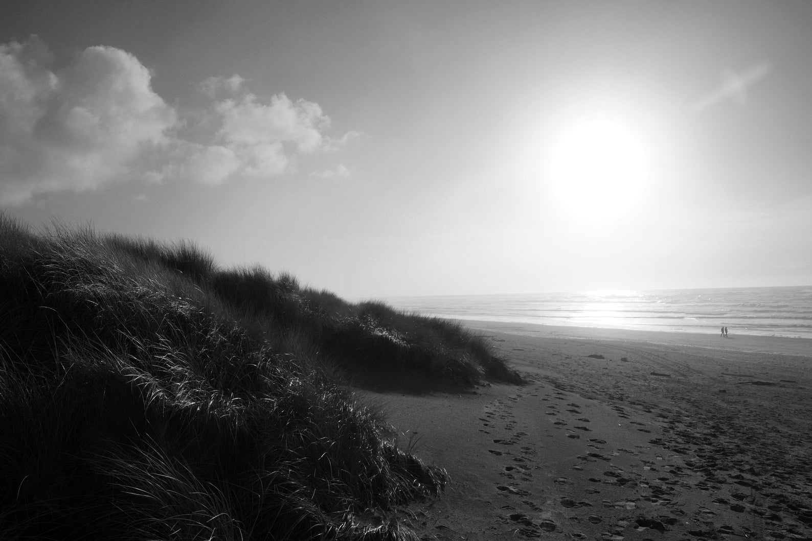 Sunset on the Beach Oregon Coast Seascape Landscape Pacific Northwest ...