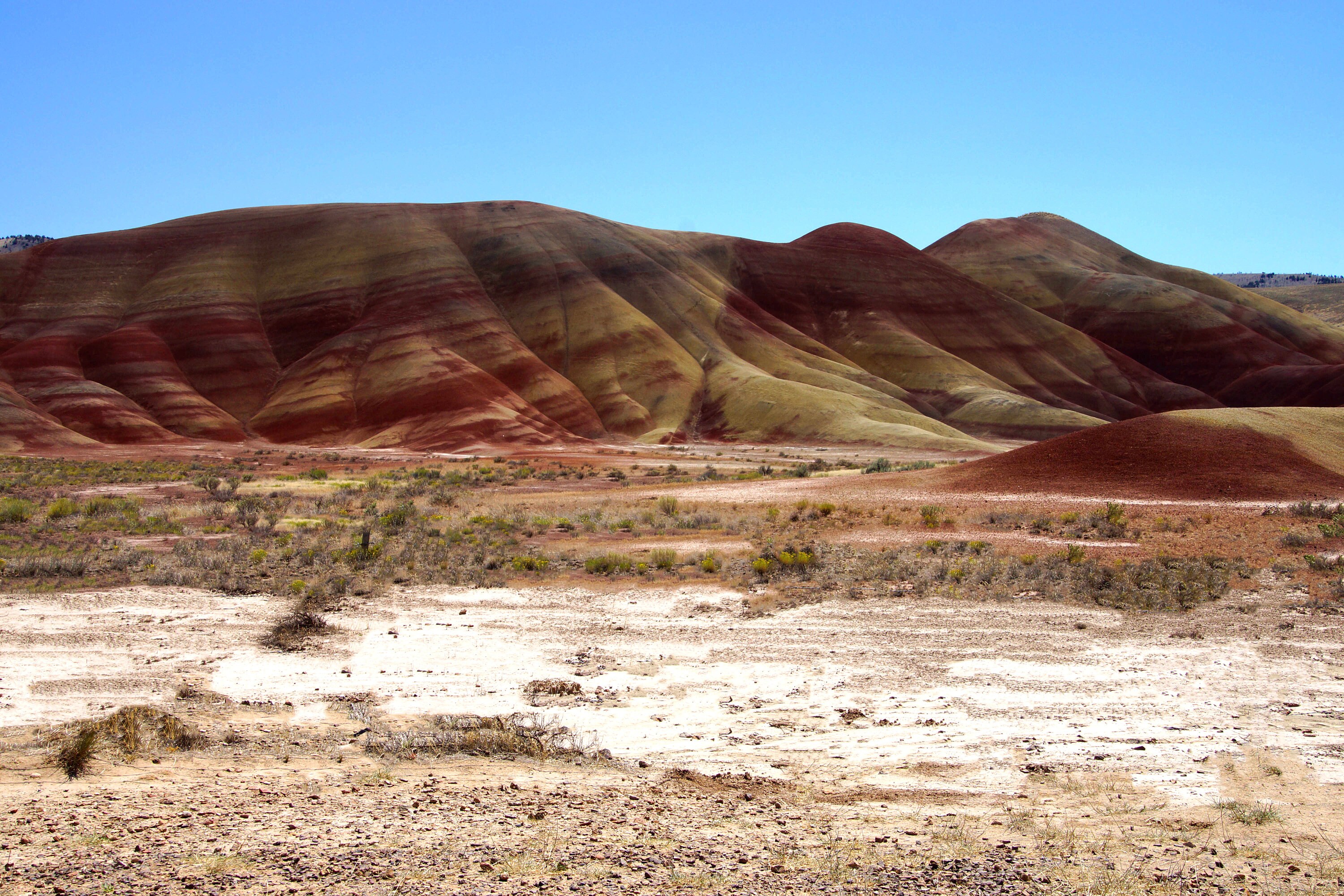 Painted Hills Eastern Oregon Landscape PNW Pacific Northwest - Wall Art ...