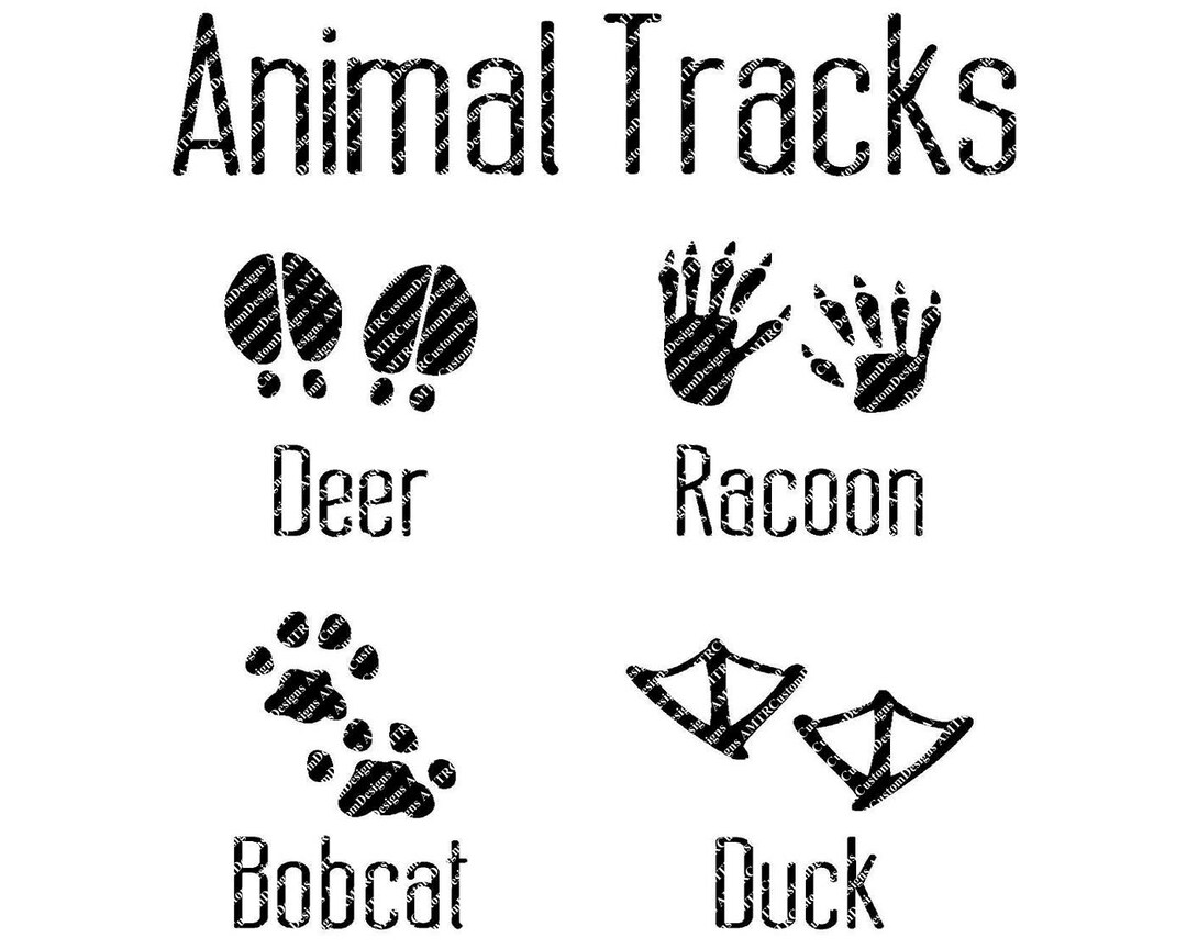 Animal Tracks - Woodland Nursery Decor -animal Track Identification ...