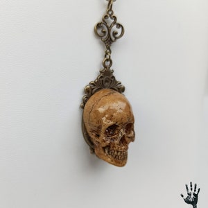 Skull Necklace, Gothic Necklace, Oddities Jewelry, Macabre Jewelry ...