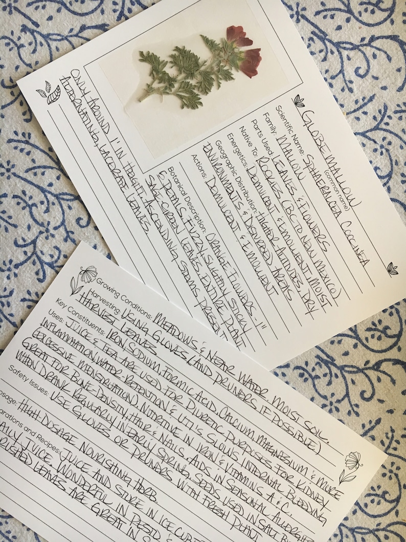 Plant Monograph/materia Medica Notecards - PDF File - Etsy