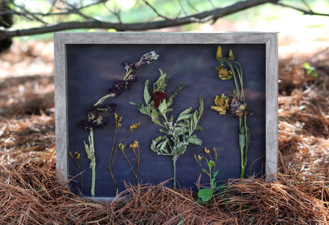 Dried Flower Art - Etsy