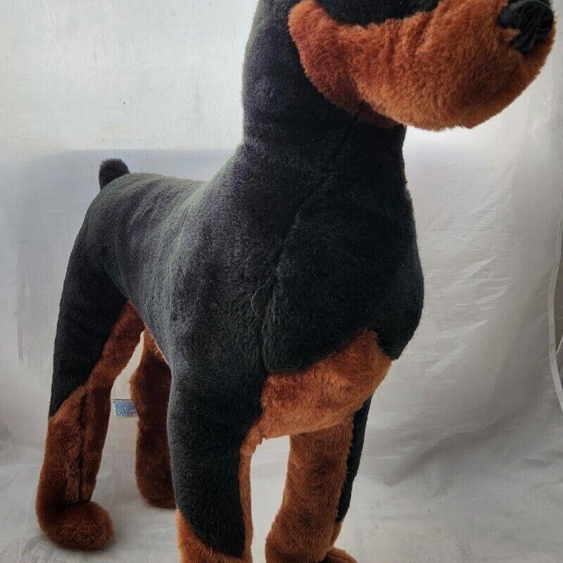 Douglas Springer Spaniel - Etsy