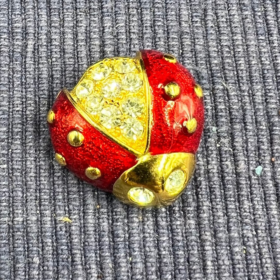 Vintage Signed LIA Ladybug Pin/brooch - Etsy