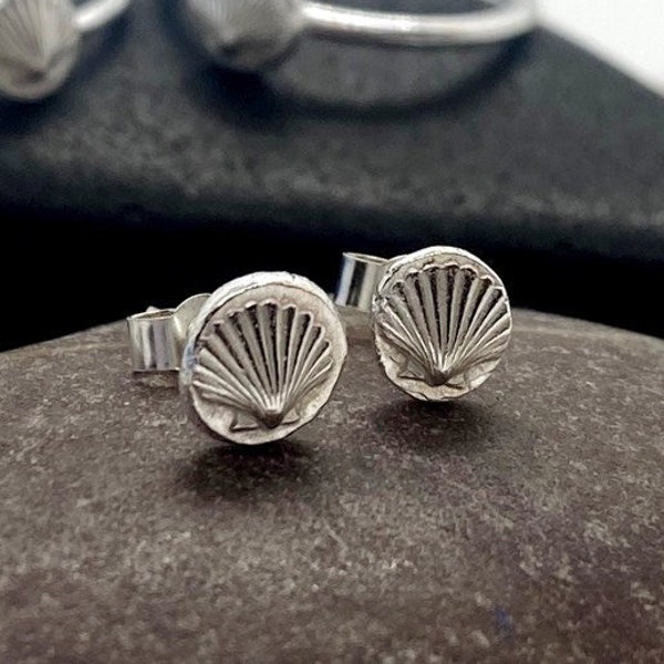 Shell Earrings - Etsy