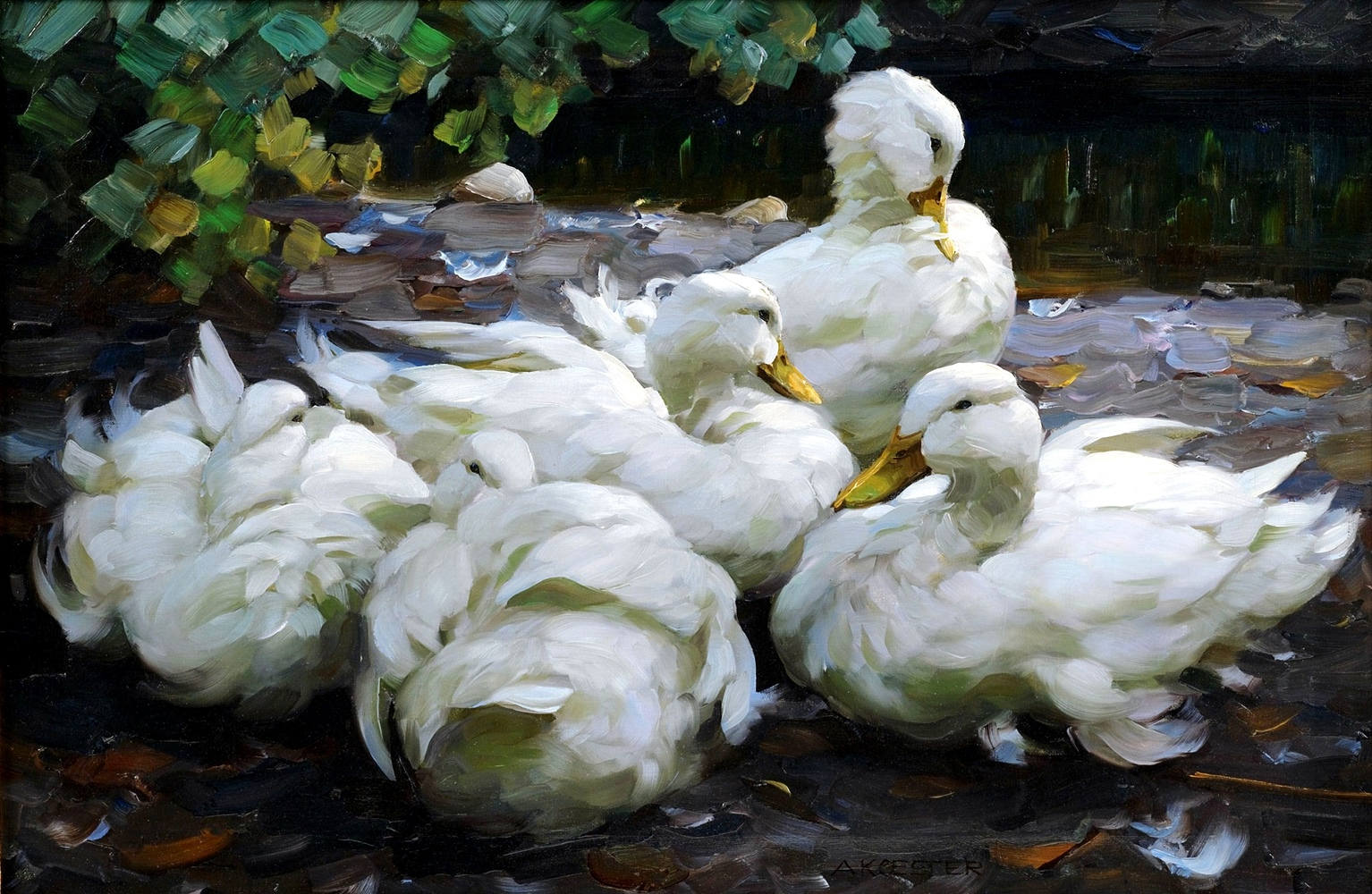 Five Dormant White Ducks Painting by Alexander Max Koester Art - Etsy