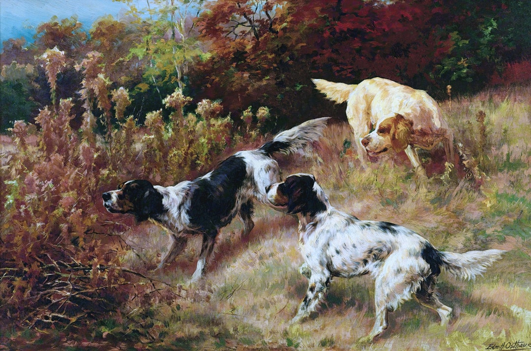 Three Setters on the Hunt Painting by Edmund Henry Osthaus Art Print ...