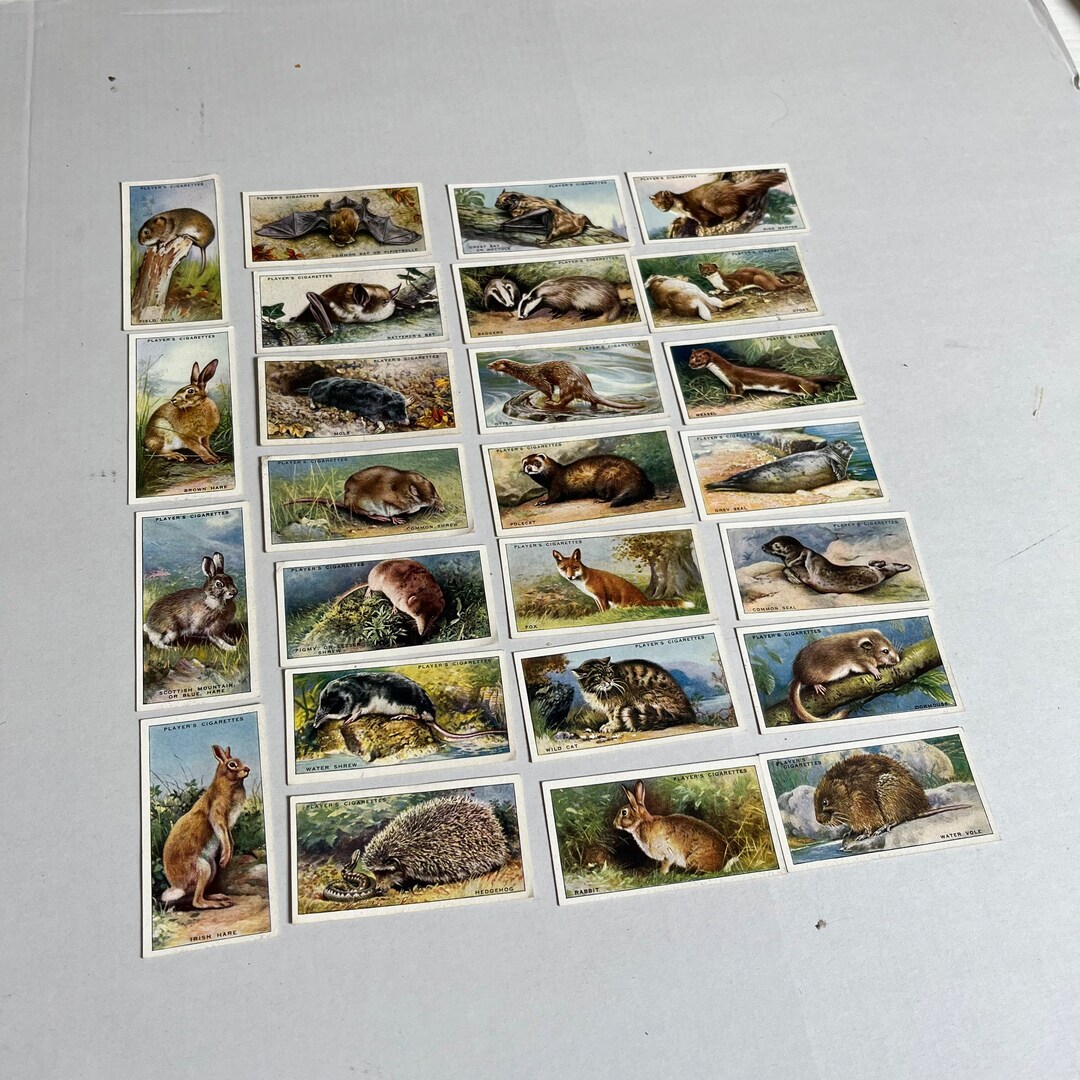 Gorgeous Set of English Animal Cigarette Cards - Etsy Australia