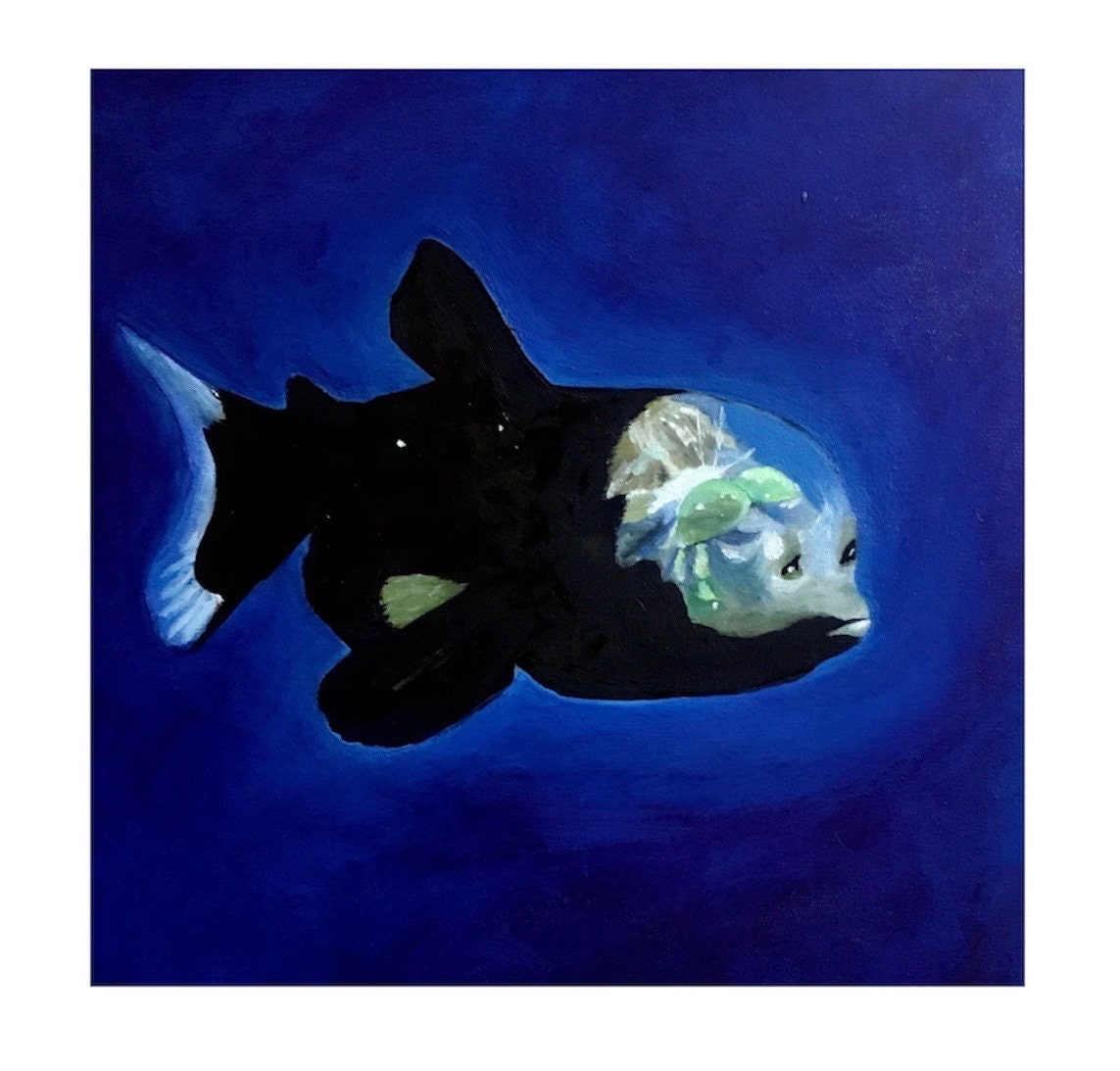 Barreleye Spook Fish