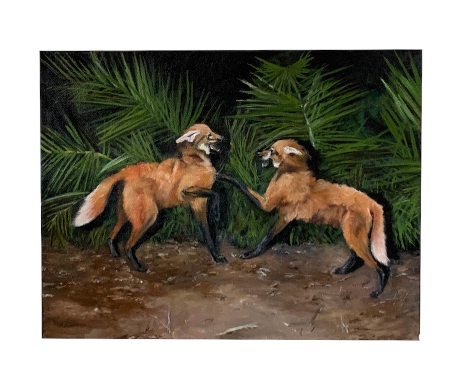 Maned Wolves (fighting). Art Print of Original Painting. 8.5”x11” - Etsy