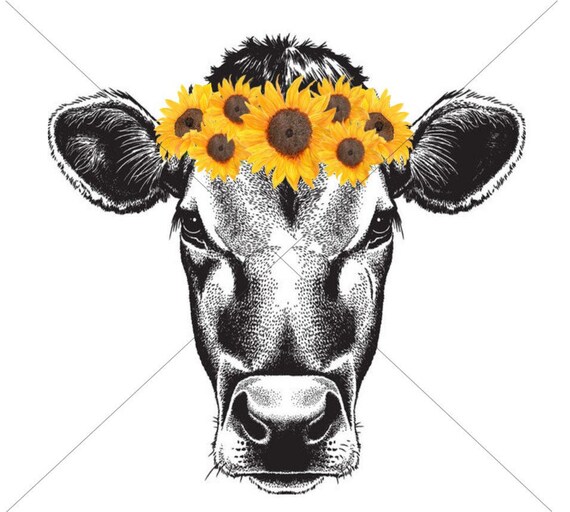 Sunflower Cow Sublimation Transfer For Shirt Etsy