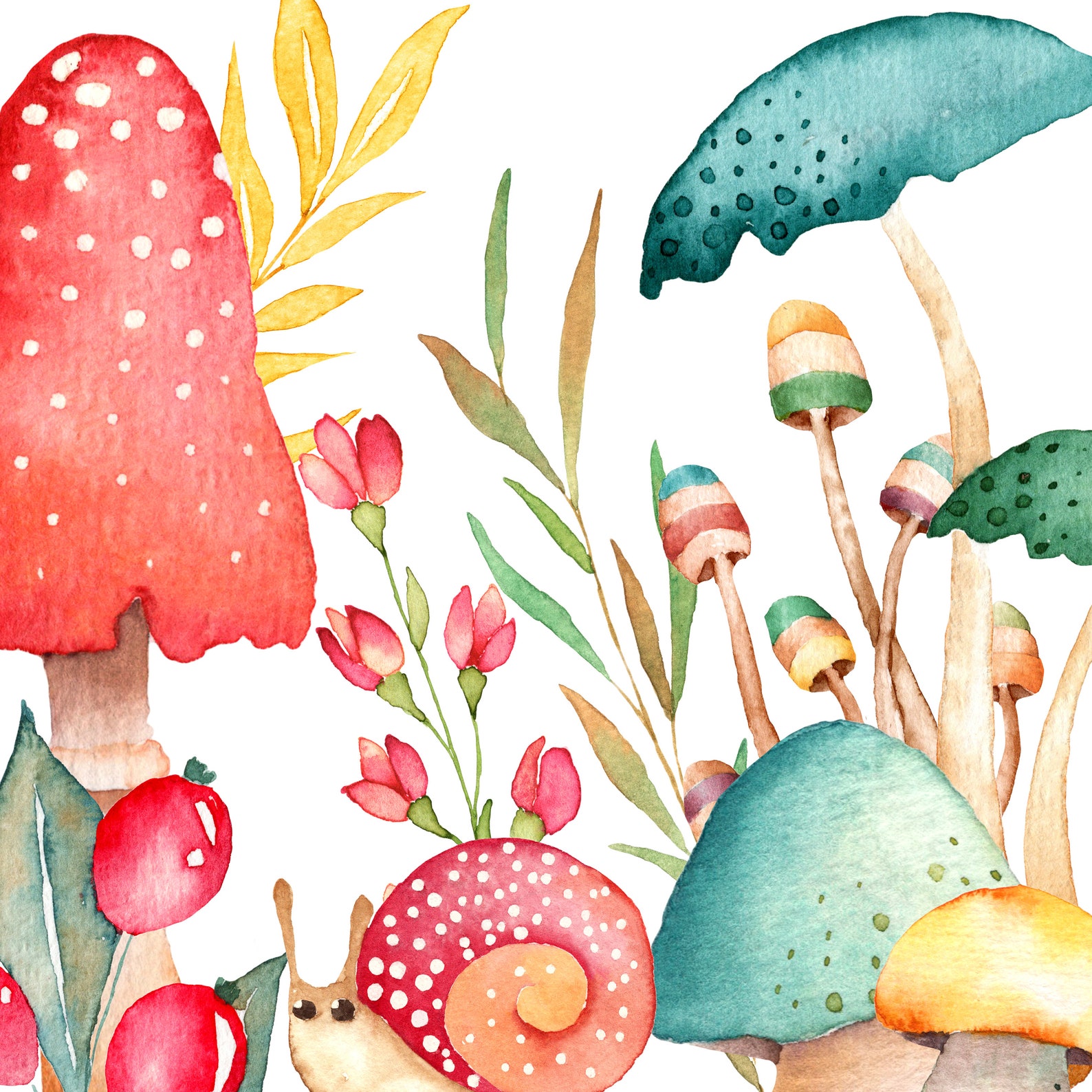 Mushroom Clipart Watercolor Clipart Fall Png Autumn | Etsy