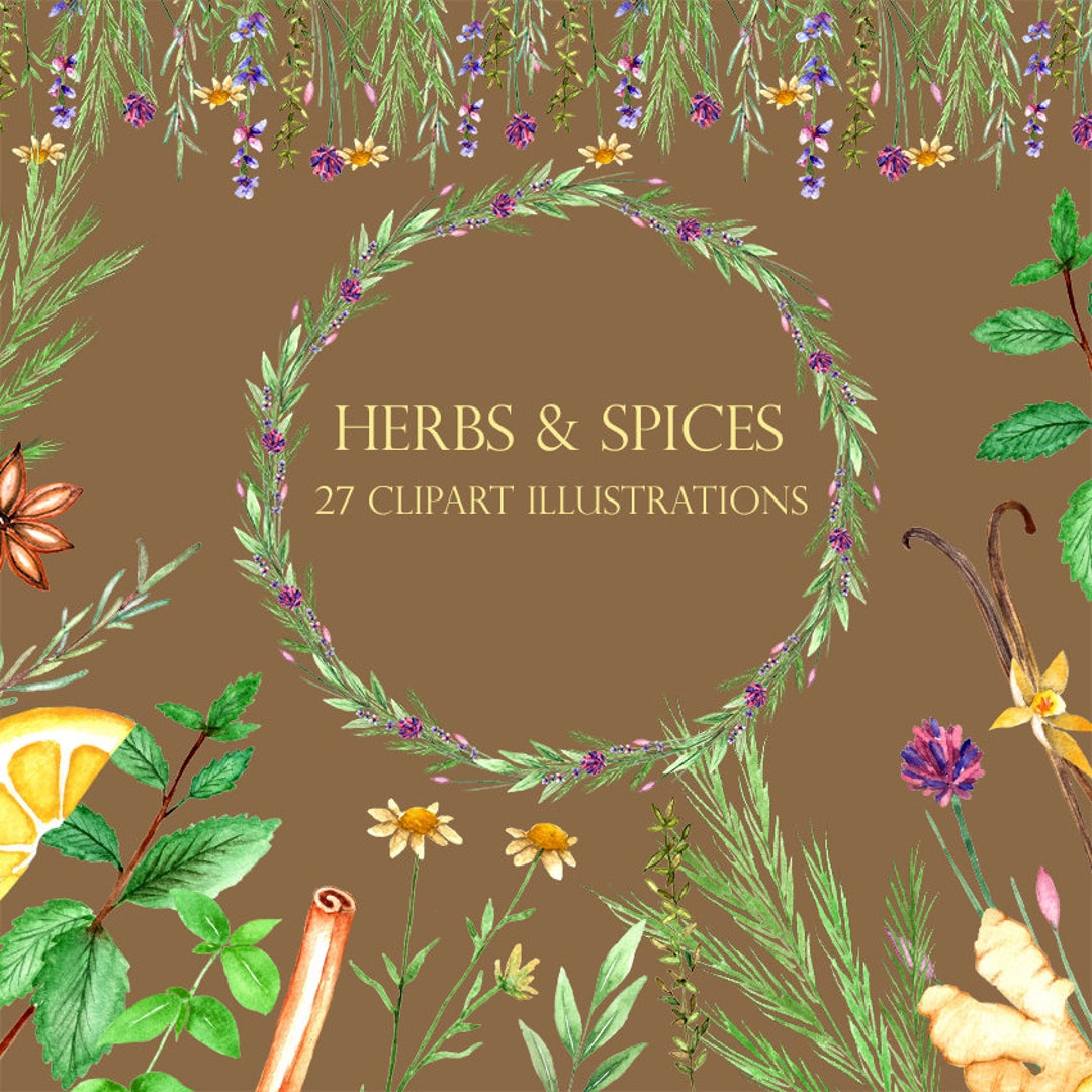 Watercolor Herbs Clipart, Herbs and Spices, Herbs Illustration ...