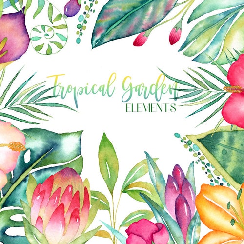Watercolor Tropical Flowers Clipart / Hawaii Clipart / Calla - Etsy
