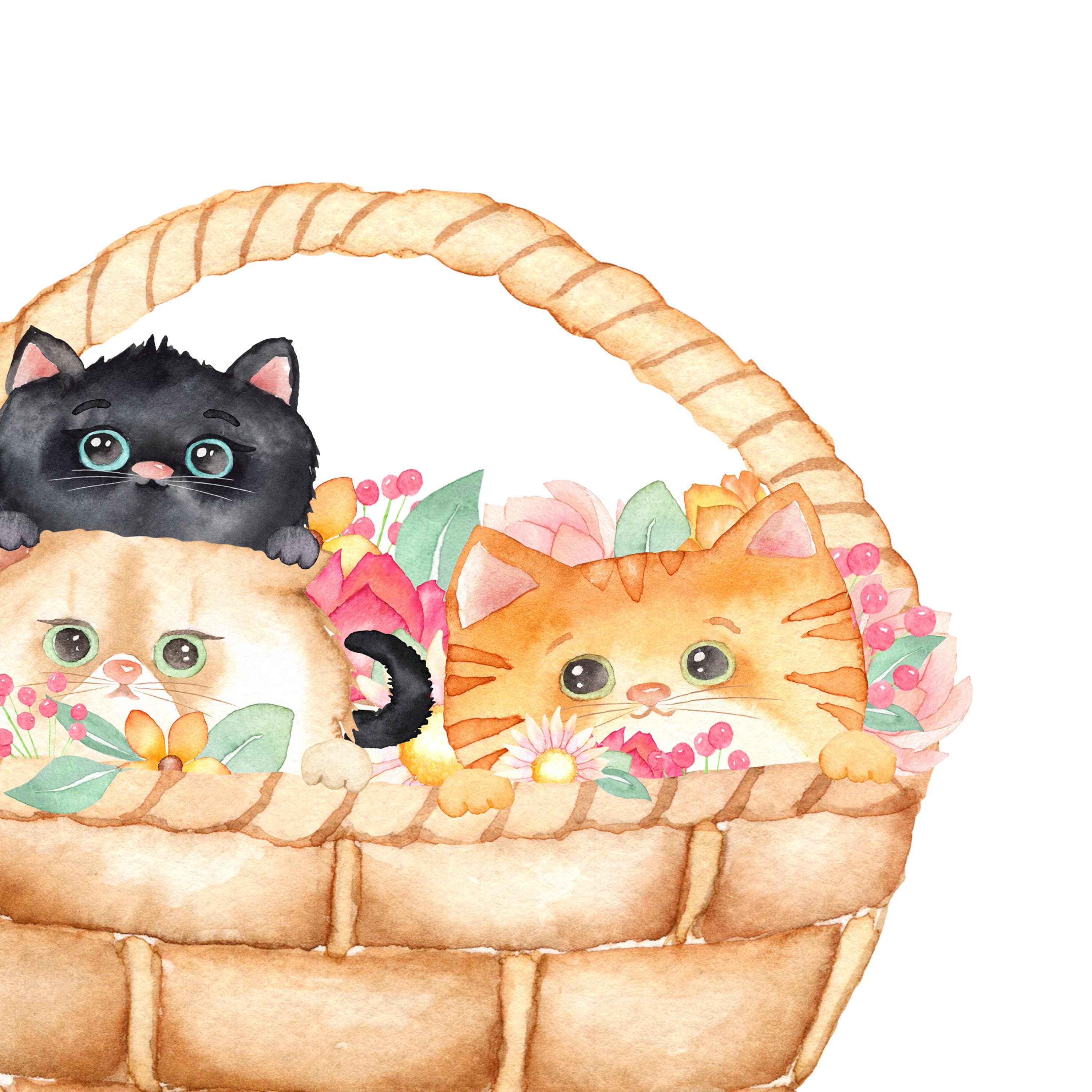 Watercolor Cat Clipart Kitten Clipart Cute Cat Clipart Cats - Etsy Canada