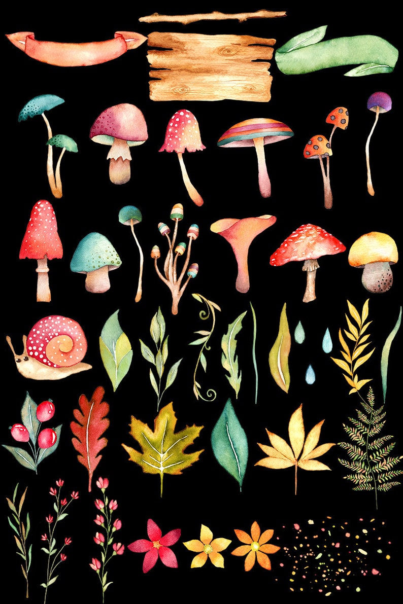 Watercolor Mushroom Clipart Fall Clipart Woodland Clipart - Etsy Australia