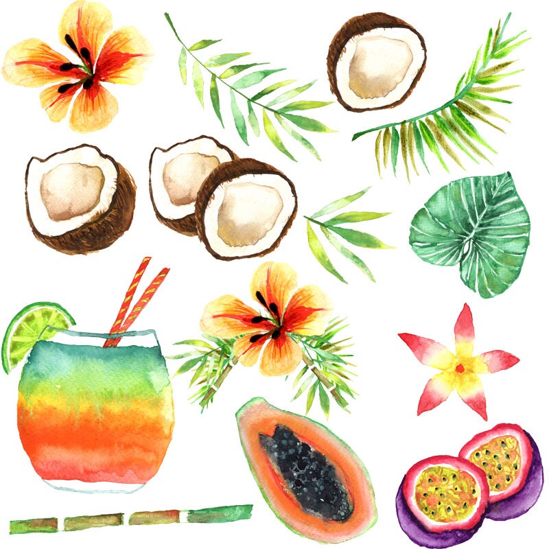 Tropical Party Clipart Watercolor Tropical Drawing Cocktail | Etsy