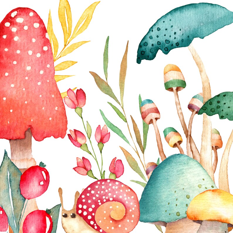 Watercolor Mushroom Clipart Fall Clipart Woodland Clipart - Etsy Australia