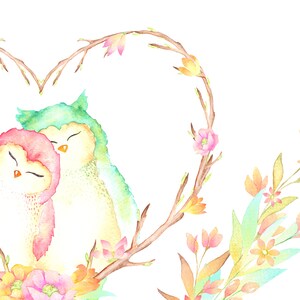 Watercolor Owl Clipart, Cute Owl, Bird Clipart, Aquarel Animals ...