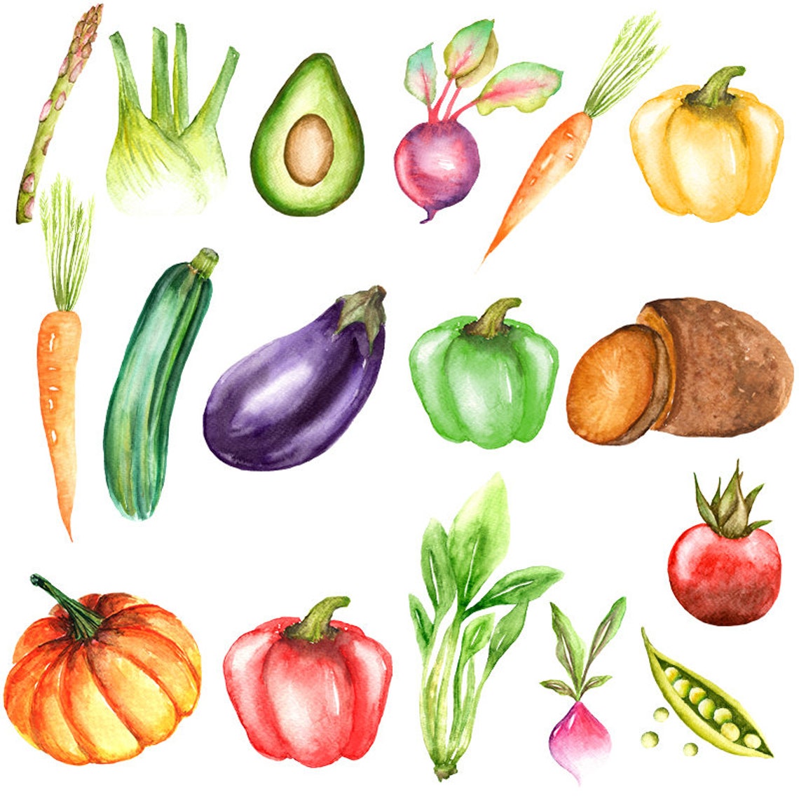 Vegetable clipart cooking watercolor clipart vegetables | Etsy
