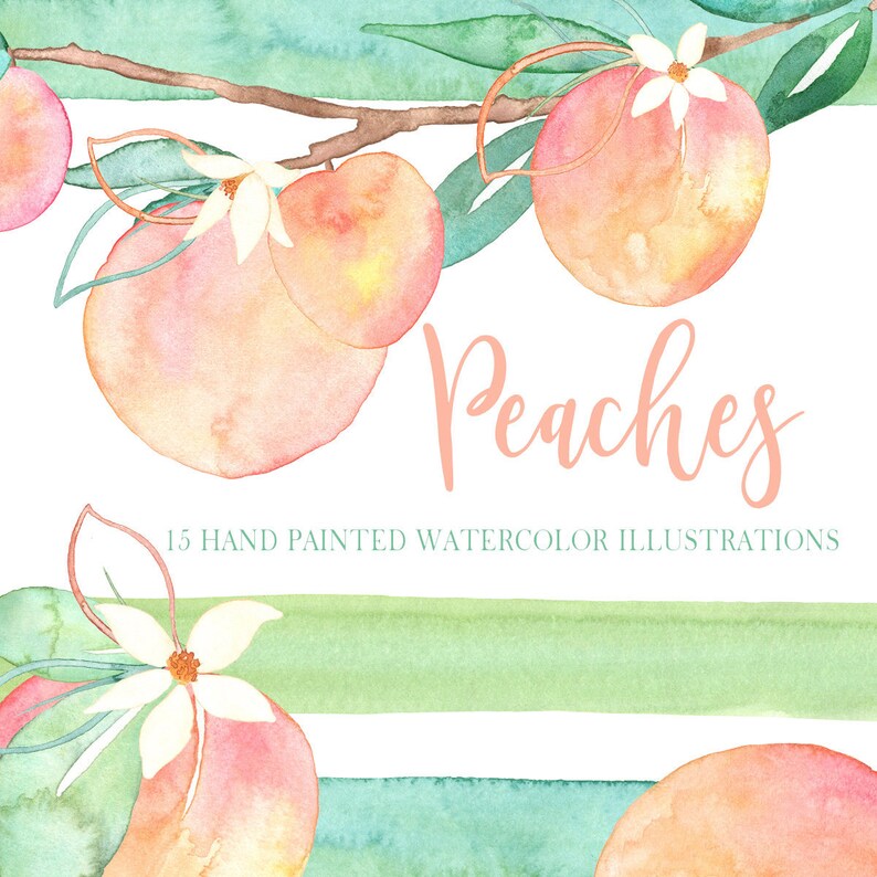 Peaches Watercolor Clipart Peaches Illustration Watercolor | Etsy