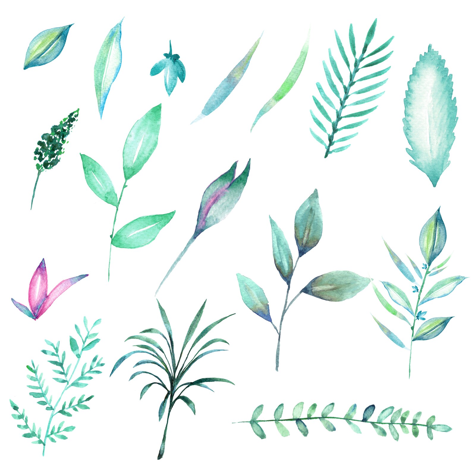 Summer Watercolor Clipart Summer Leaves Illustrations - Etsy