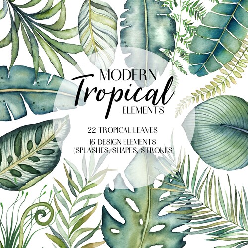 Tropical Leaves Watercolor Clipart. Watercolor Monstera Clip - Etsy
