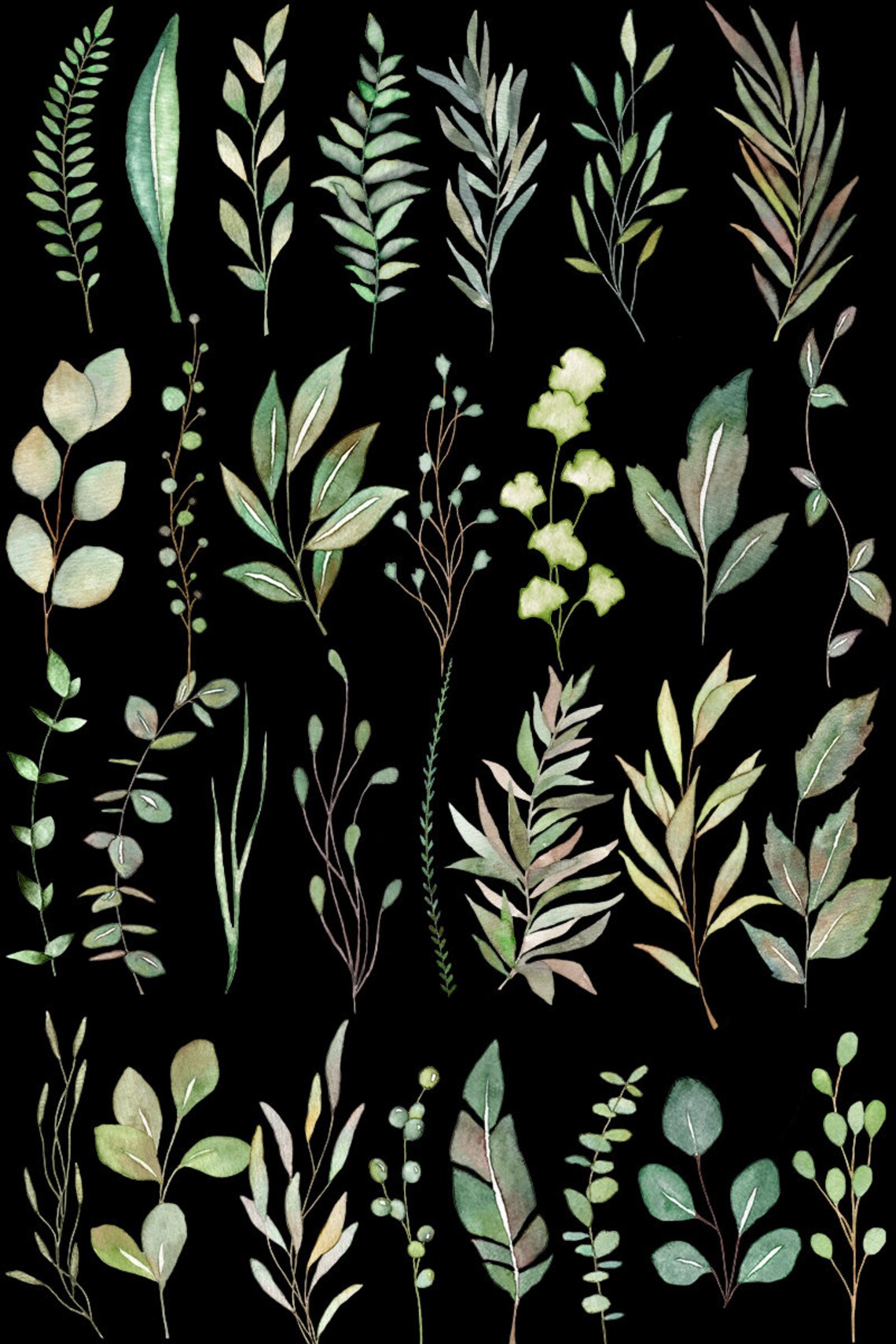 Green Watercolor Leaves Fern Clipart Forest PNG Greenery - Etsy