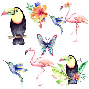 Flamingo Watercolor Clipart Aquarel Toucan Tropic Hibiscus - Etsy