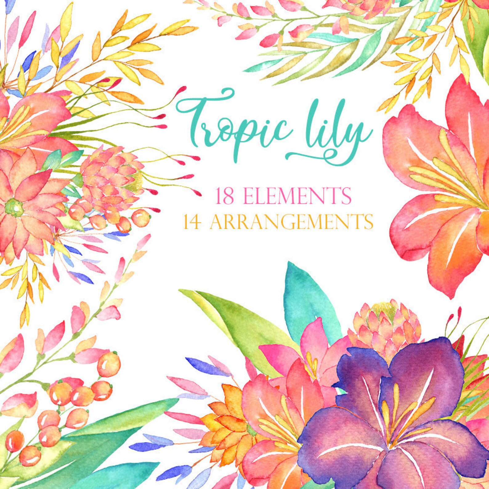 Tropical Watercolor Flower Clipart Tropic Summer Png - Etsy