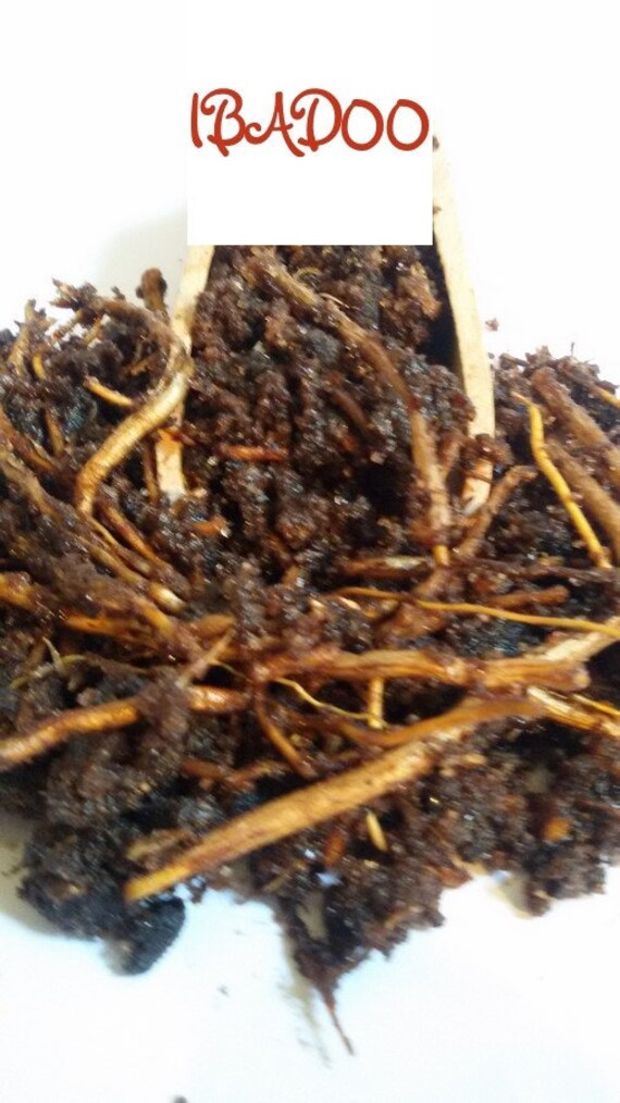 Thiouraye Khamaré Vetiver . Bakhoor West Africa. | Etsy