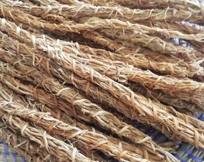 Vetiver LIVE PLANT Vetiver Zizanioides Ayurvedic Plant - 4" Pot - Etsy