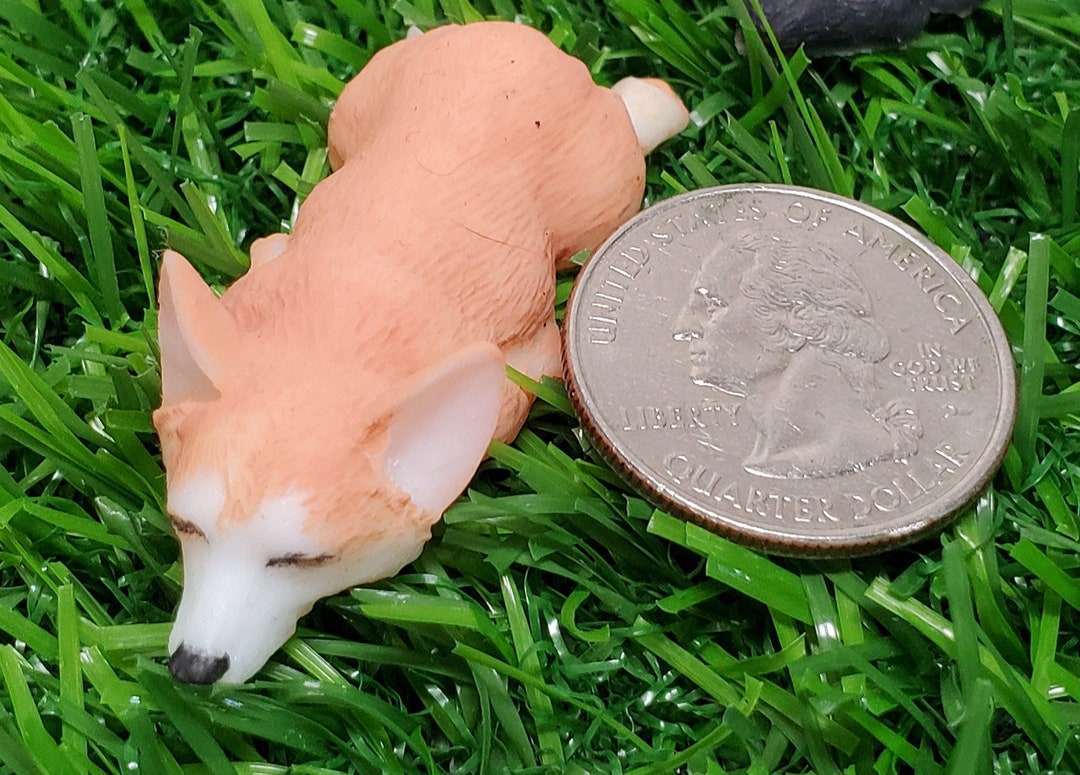 Small Silicone Corgi Puppies Back View - Etsy