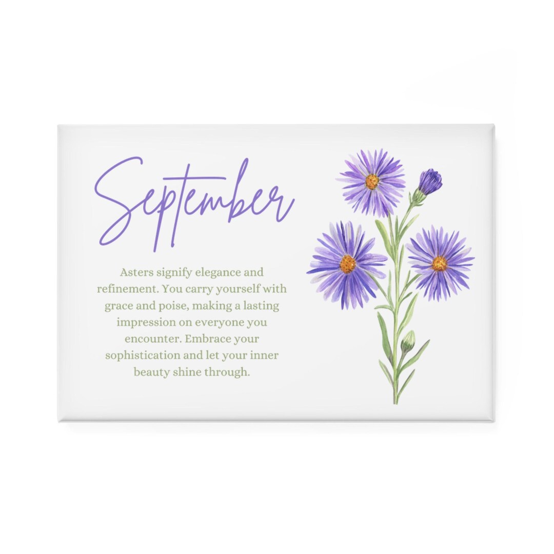 September Birth Month Flower Magnet, Purple Aster Gift, Coworker, Galentines, Birthdays ...