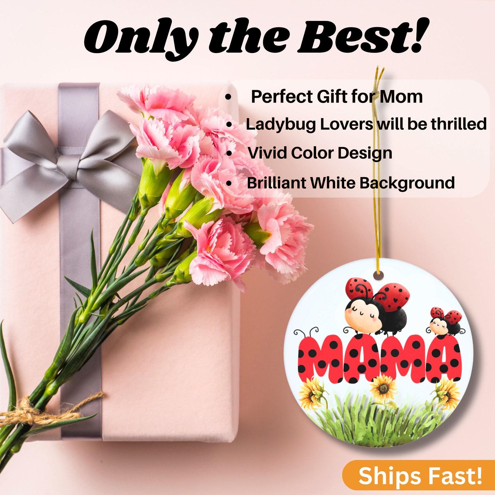 Ladybug Ornament for Mom, Fun Lady Bug Gift for Christmas, Mother's Day ...