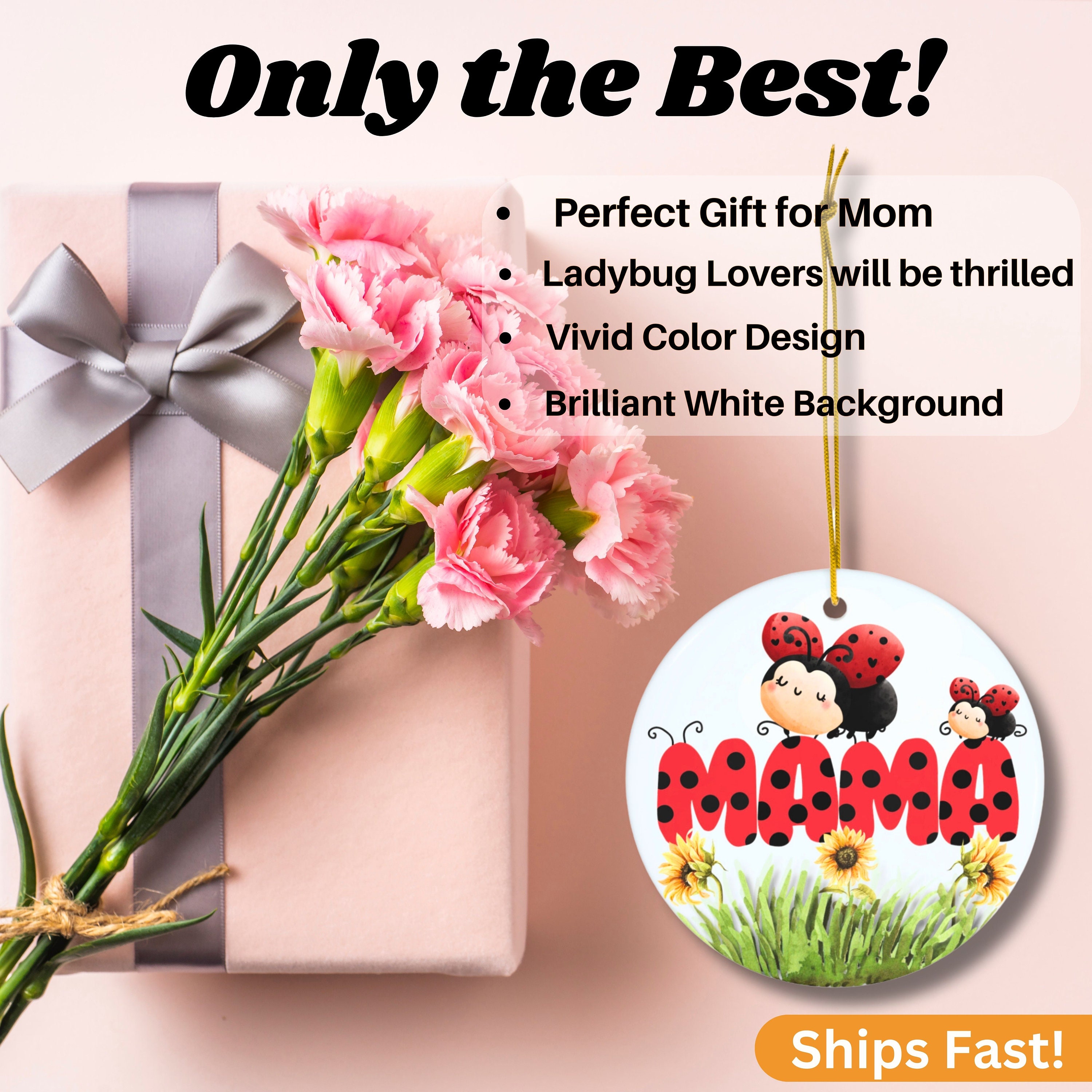 Ladybug Ornament for Mom, Fun Lady Bug Gift for Christmas, Mother's Day ...