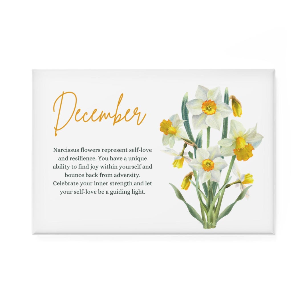 December Narcissus Birth Month Flower Magnet, December Gift, Coworker ...