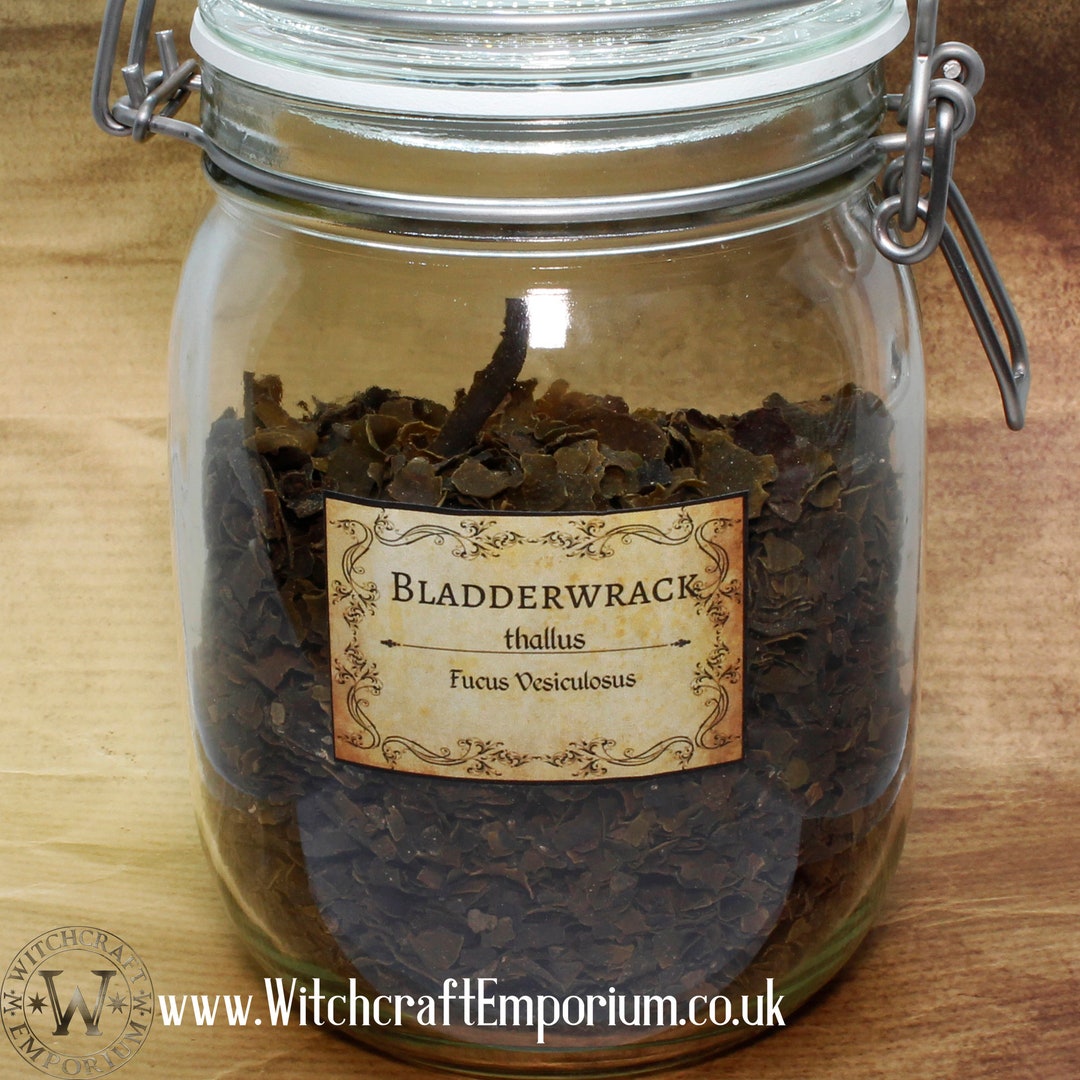 Bladderwrack - Herb Organic Natural Vegan Pagan Wicca Wiccan Spell ...