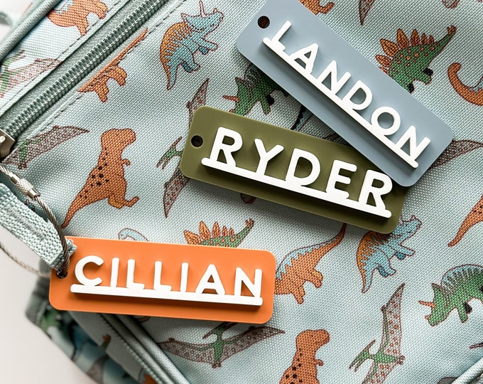 Acrylic Bag Tag Keychain 3D Keychain Acrylic Name Tag Bag Tag Luggage ...