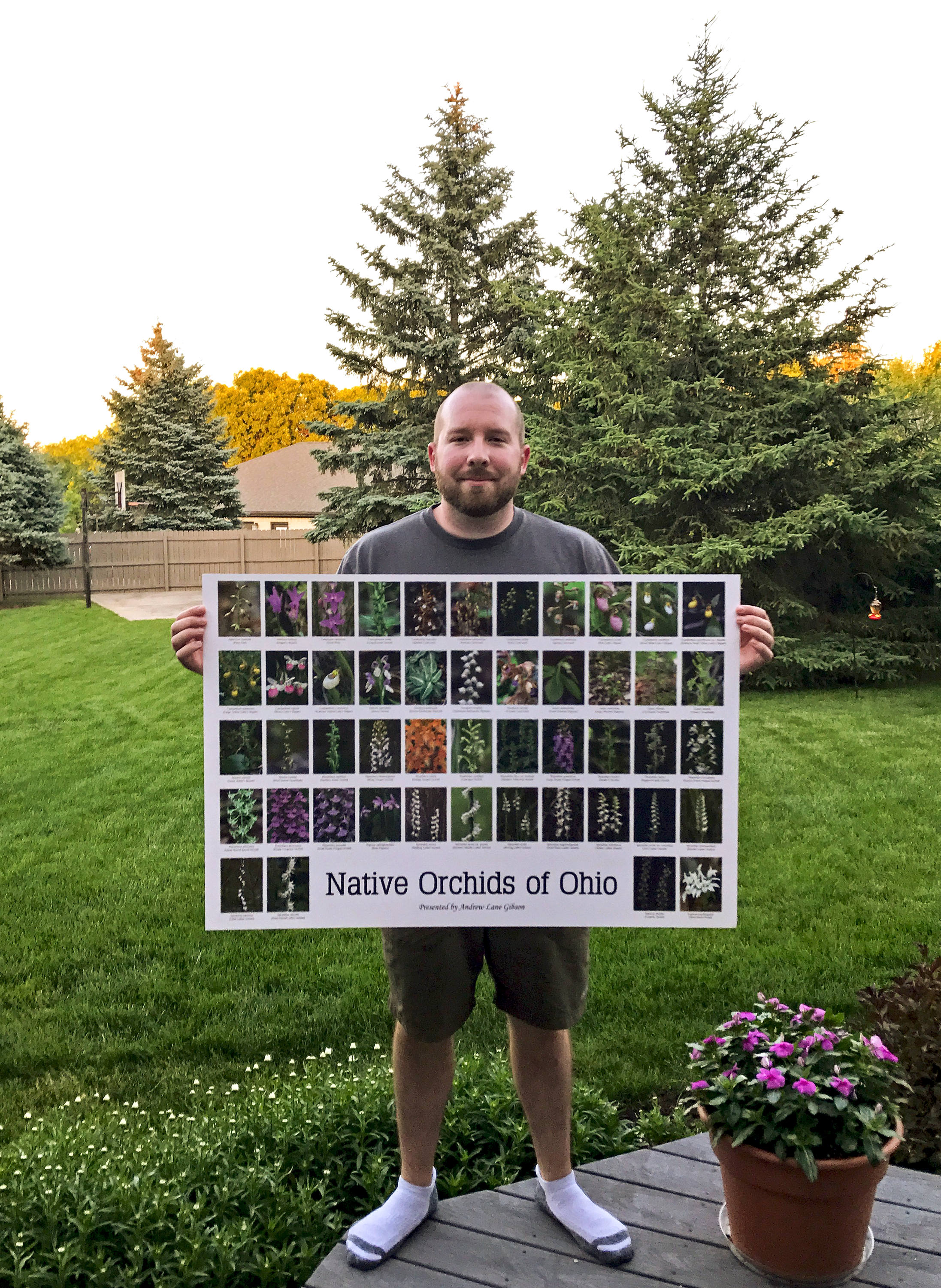 Native Orchids of Ohio Poster - Etsy