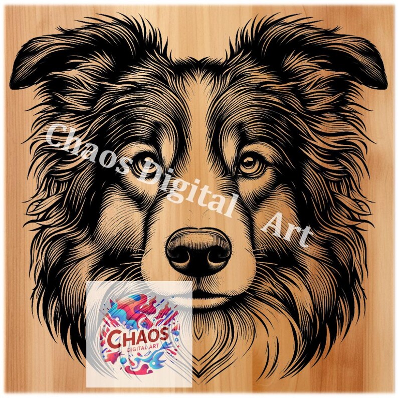 Border Collie Line Art Design Package - 5 Images in PNG, SVG, EPS ...